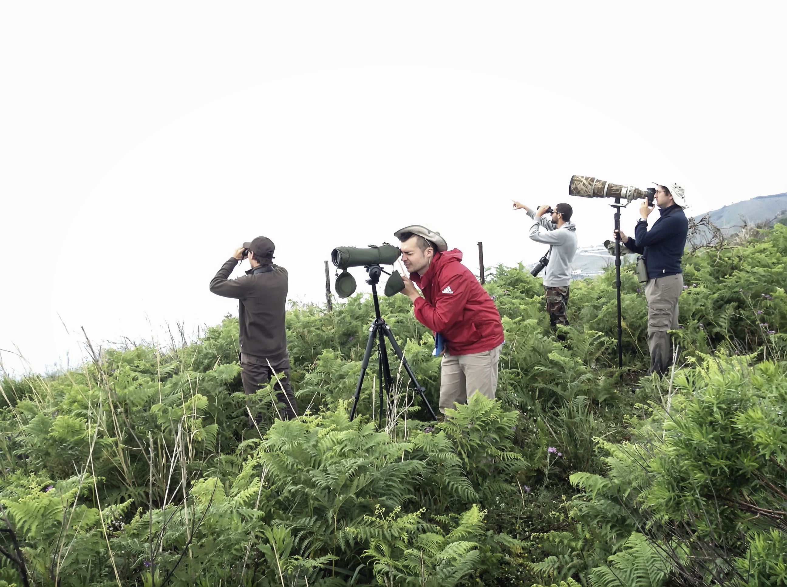 Antibracconaggio | Lipu ODV